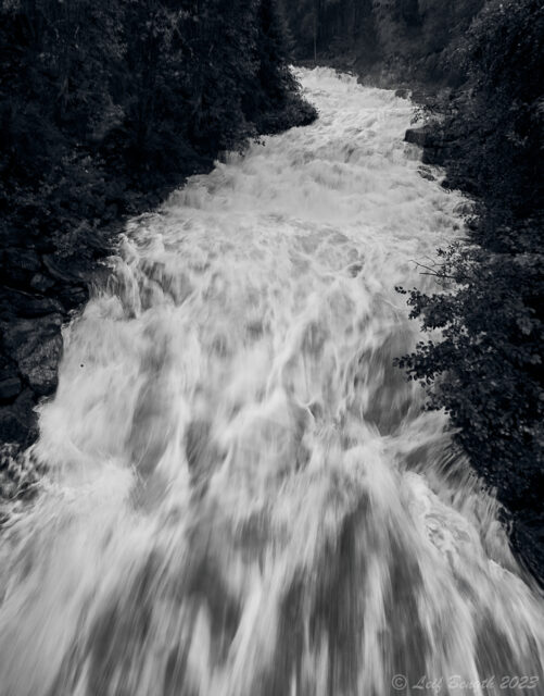 Full fart i Ugan... - Wildlifephotographer.se | Leif Bength